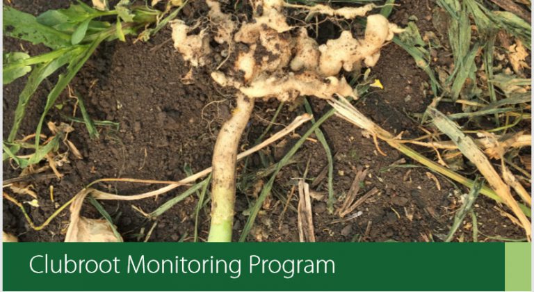 Club Root Program – RM of Blaine Lake